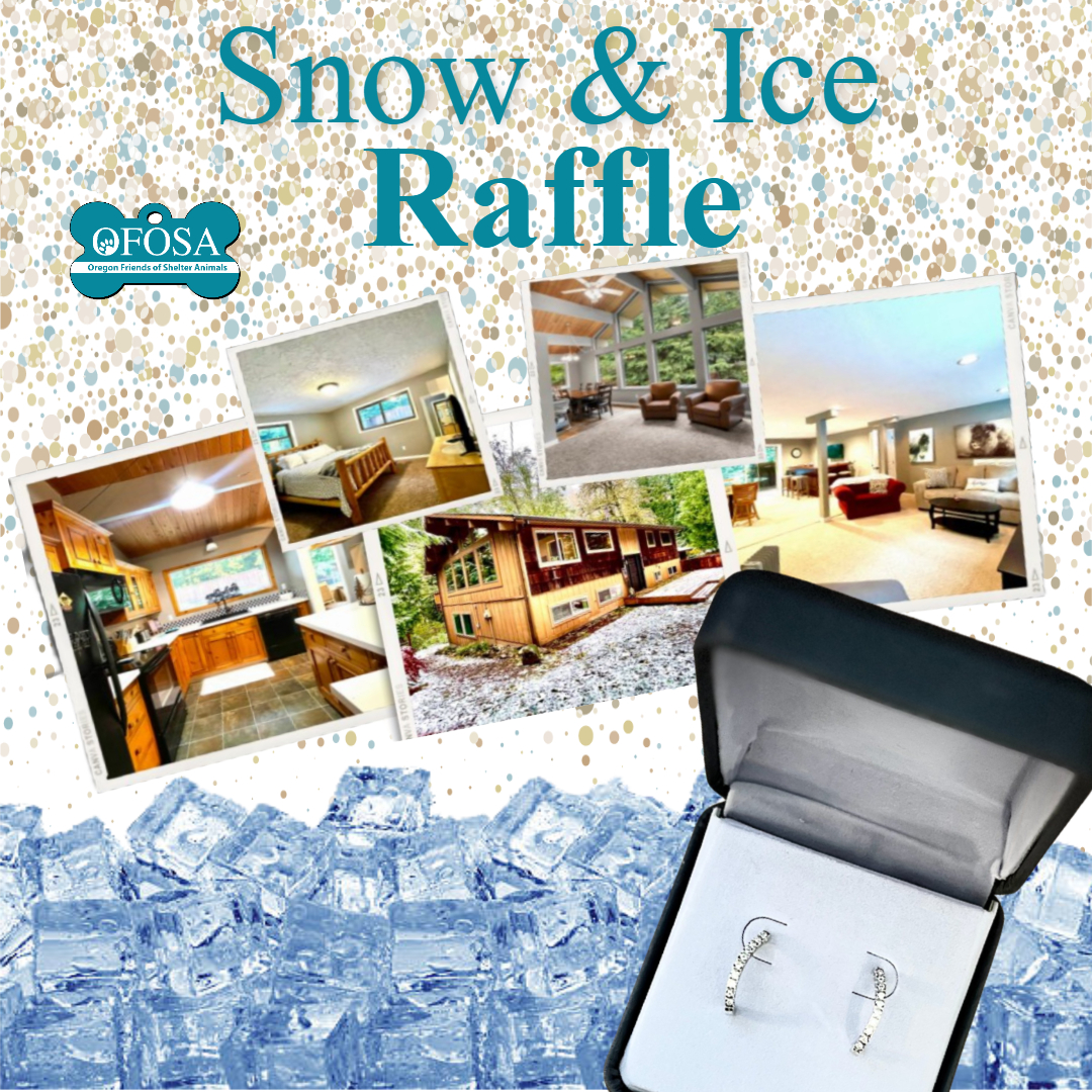 Snow & Ice Raffle 2023